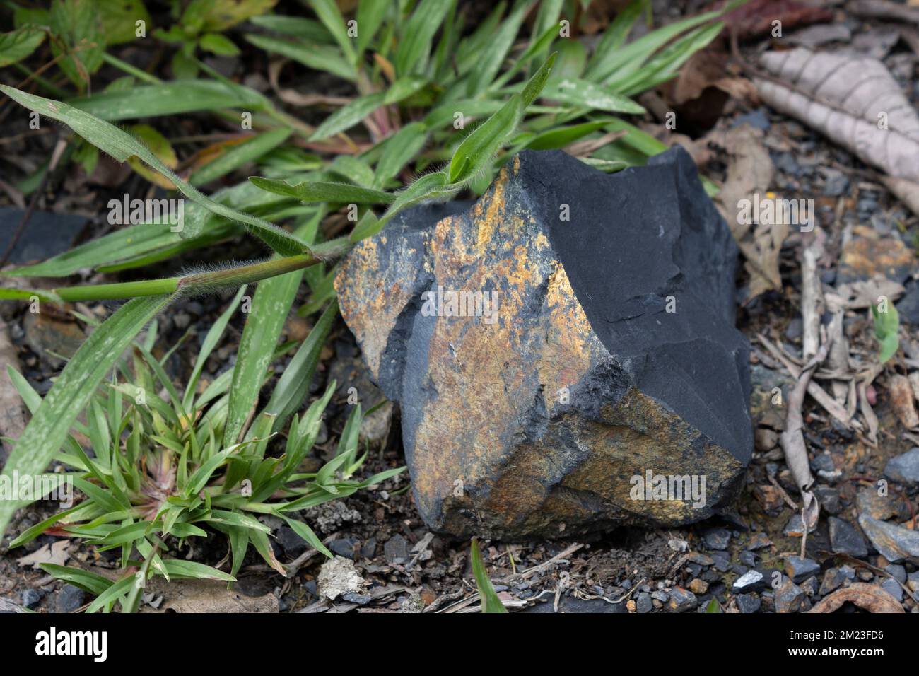 Close up to a black rock with yellow mineral it looks like gold over ...
