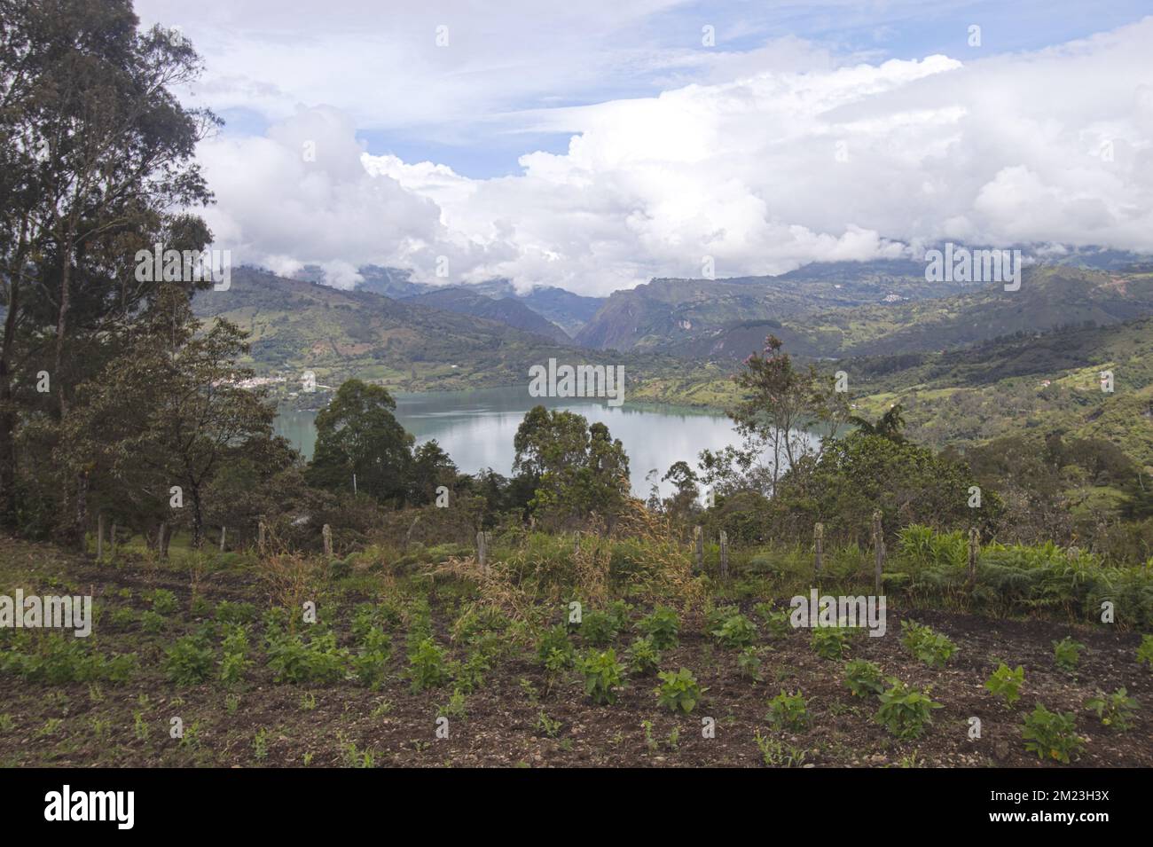 Colombian guavio region landscape viewed from a mountain with crops ...