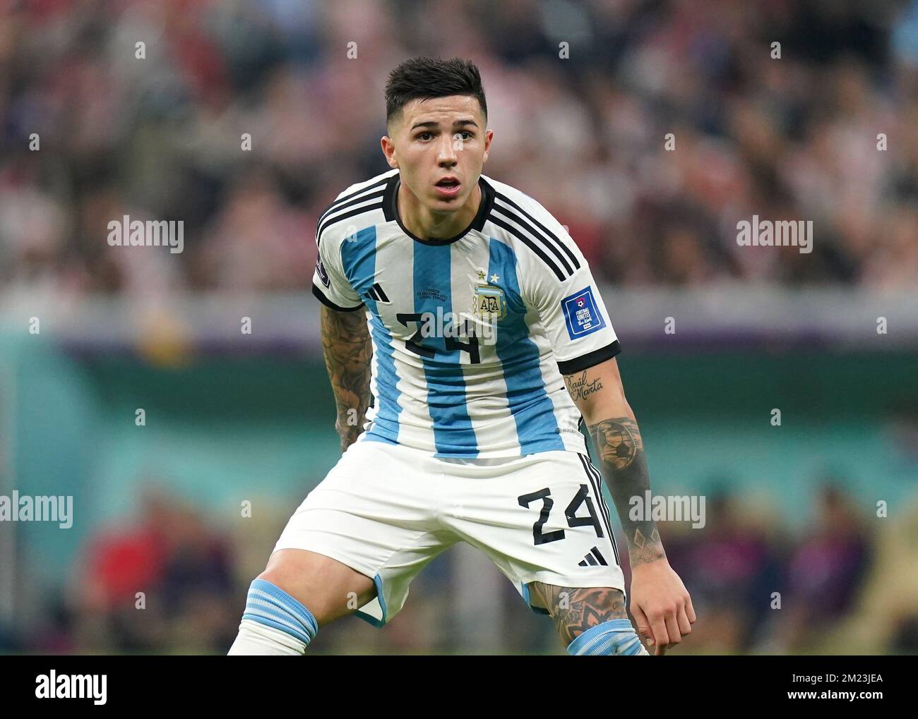 Argentina's Enzo Fernandez during the FIFA World Cup Semi-Final match ...