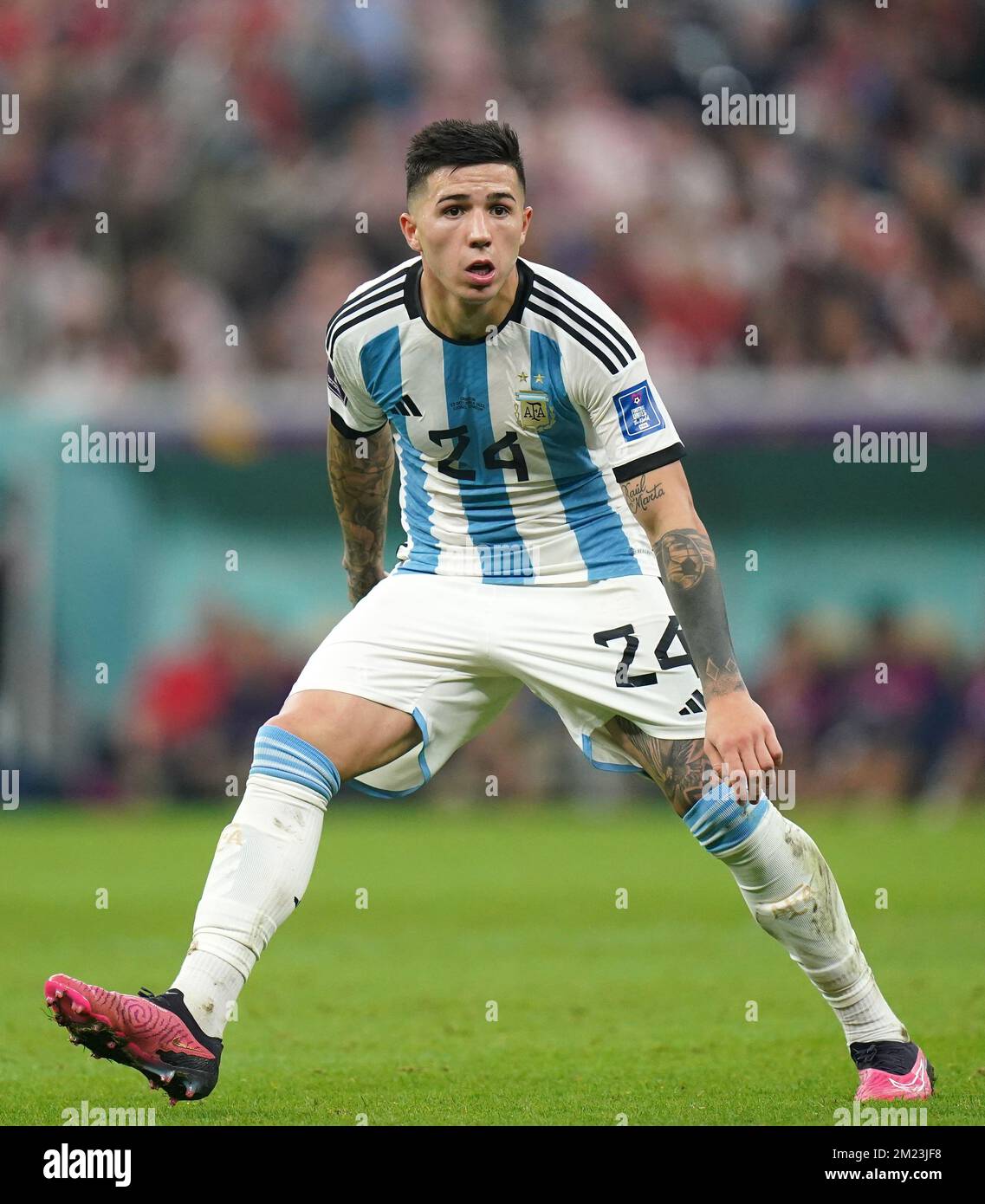 Argentina's Enzo Fernandez during the FIFA World Cup Semi-Final match ...