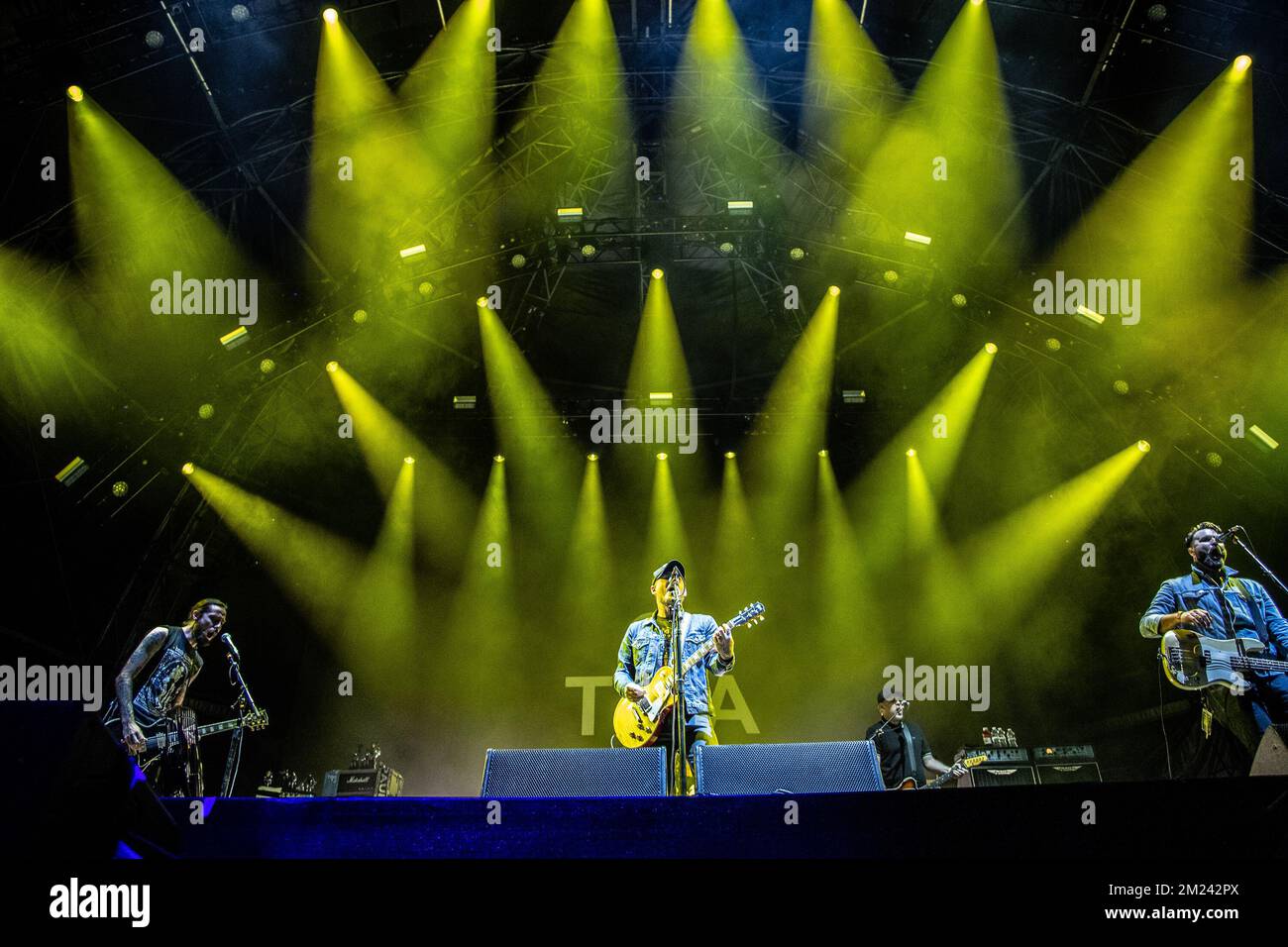 Governors Ball - Gaslight Anthem in concert Stock Photo - Alamy