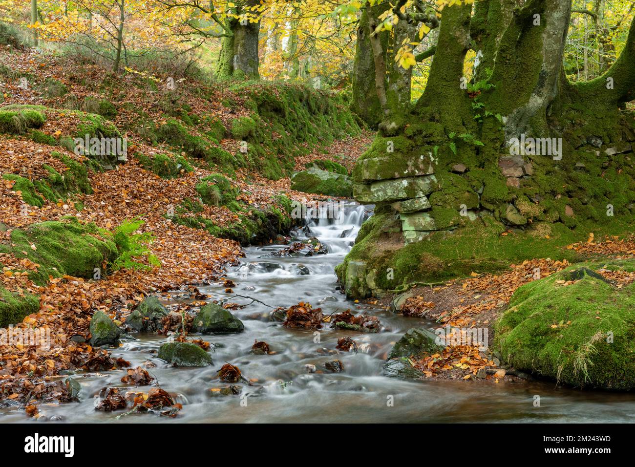 Long exposure of the Weir Water river flowing downstream of Robbers ...