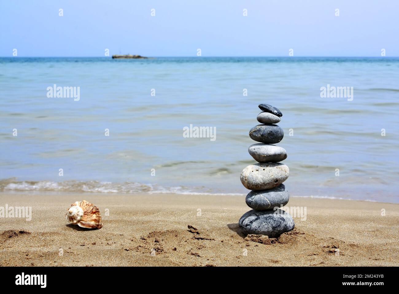 Stack stone and shell on the beach Stock Photo - Alamy