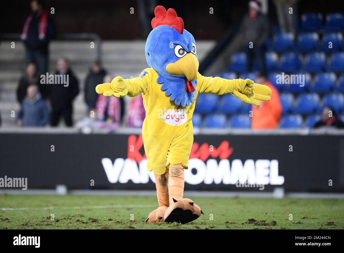 Westerlo's mascot celebrates after winning the Jupiler Pro League match ...