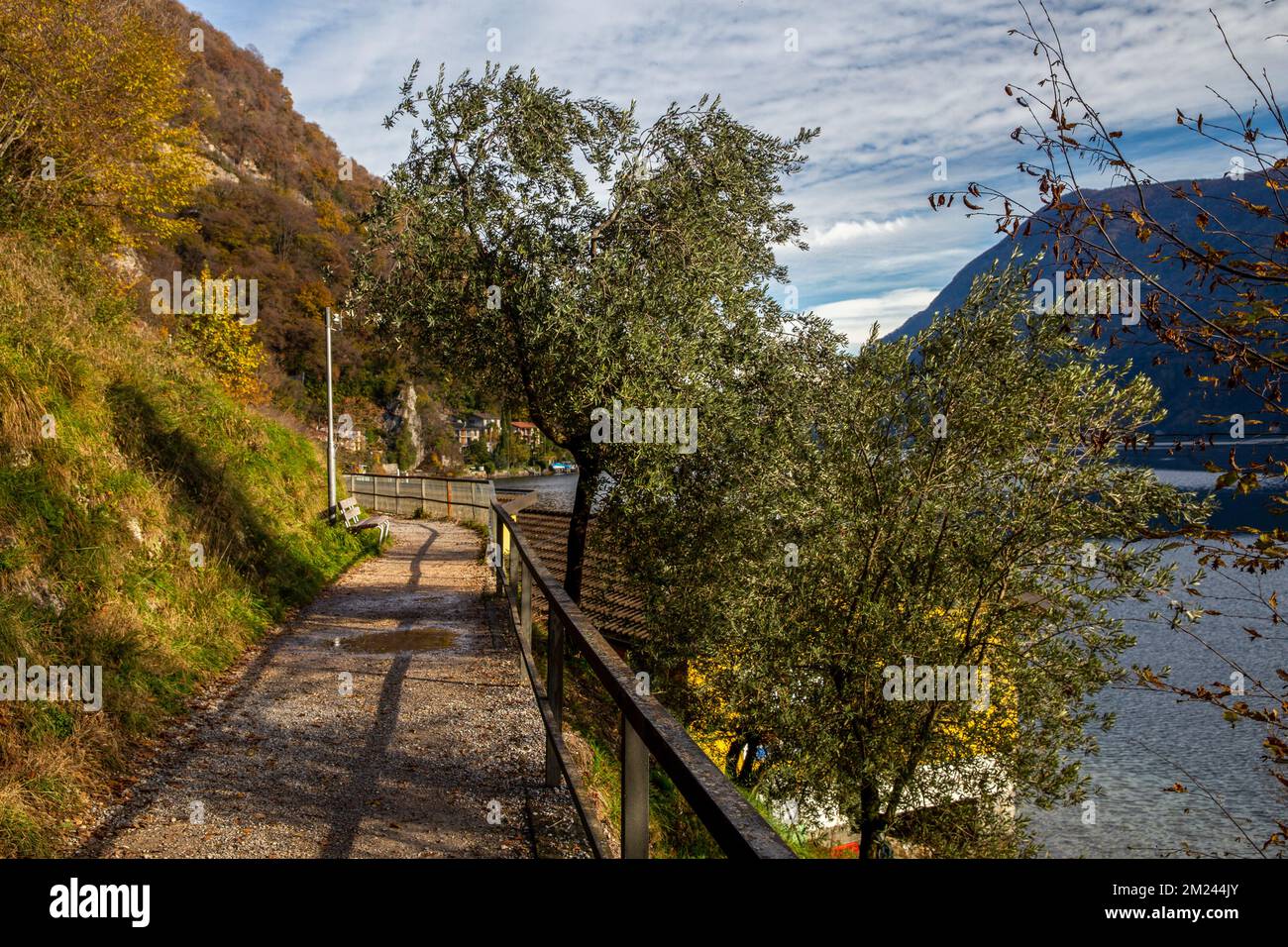 Bank of lake Lugano and mountain next to town Lugano - photo from so ...