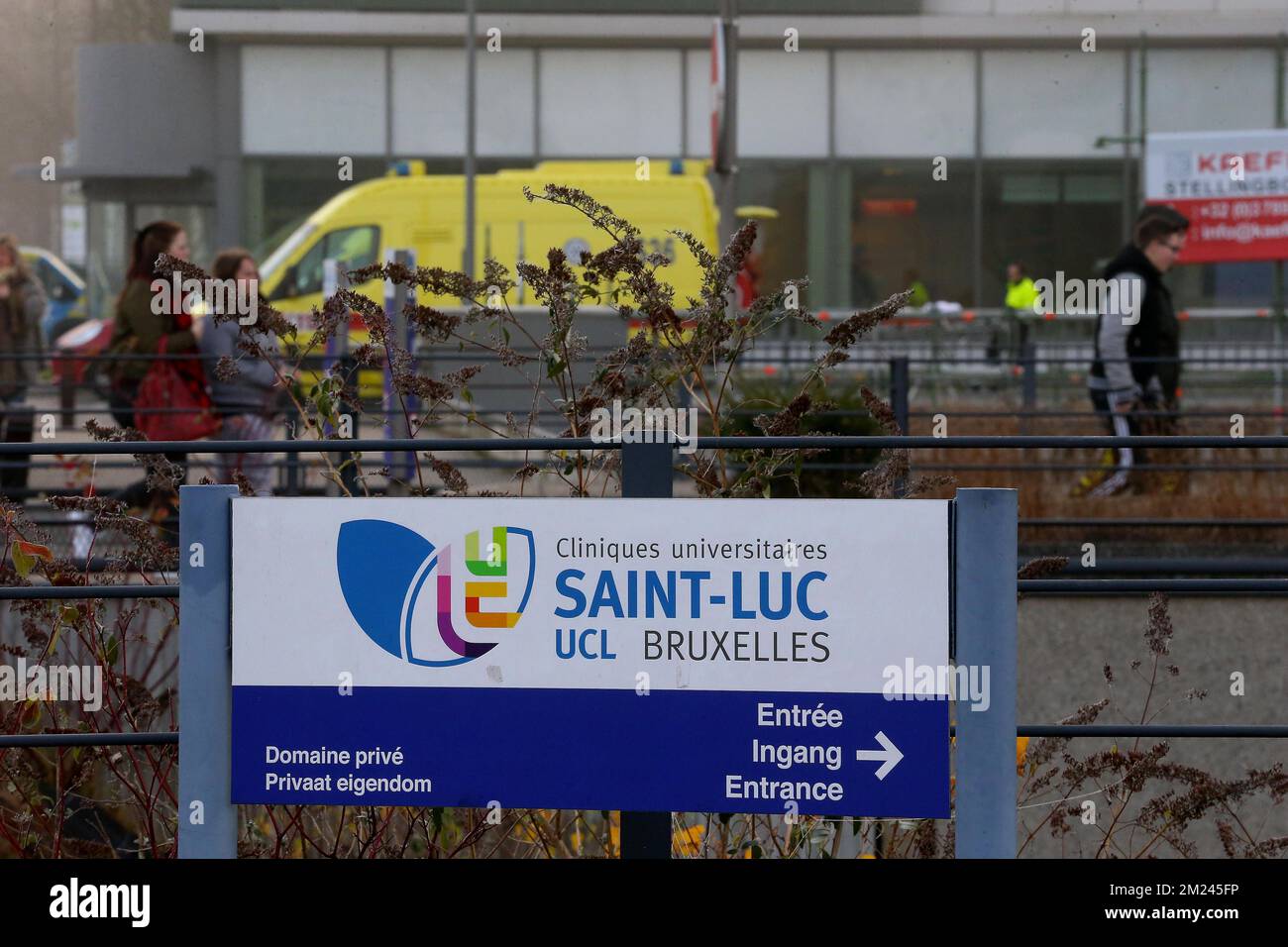 Vertebral fracture hi-res stock photography and images - Alamy