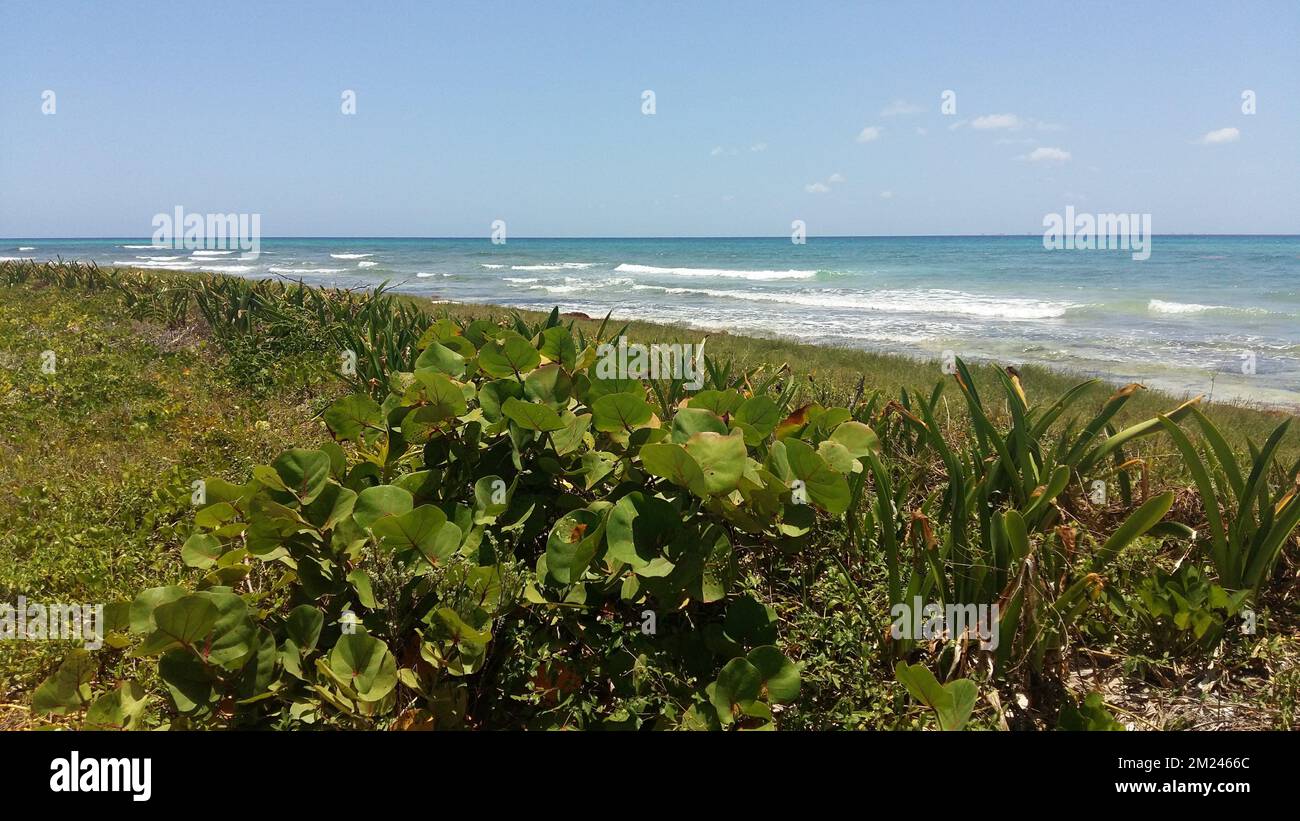 A view of the coast and the sea Stock Photo - Alamy