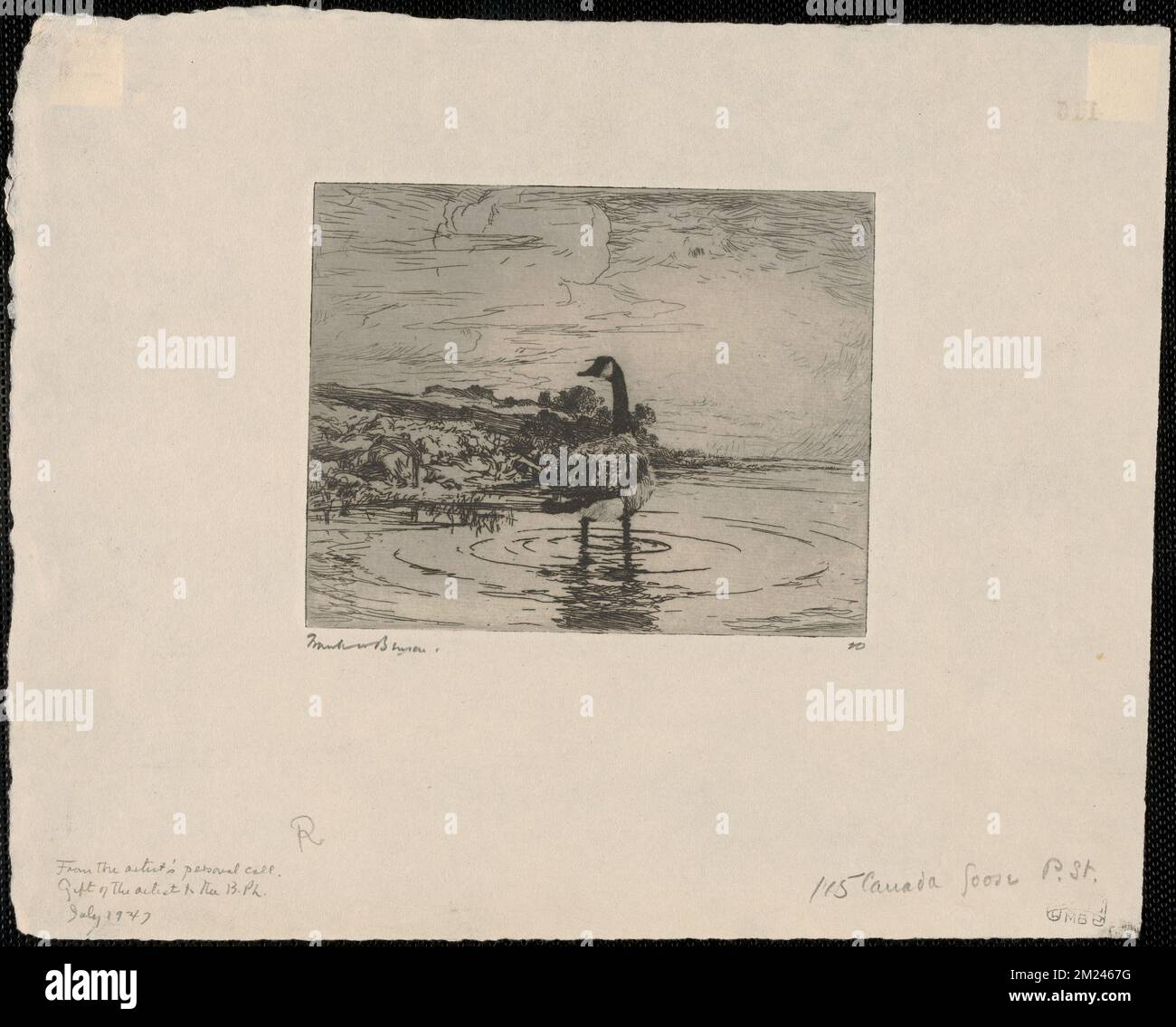 Canada goose , Geese, Bodies of water, Canada goose. Frank W. Benson ...