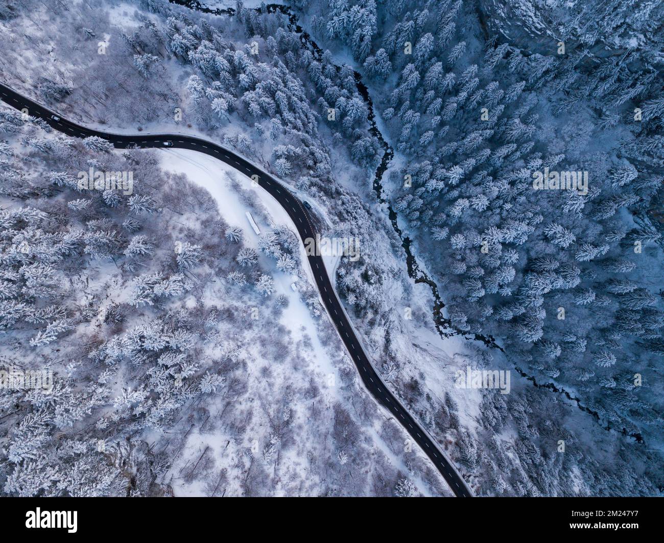 Winter Bird View Stock Photo - Alamy