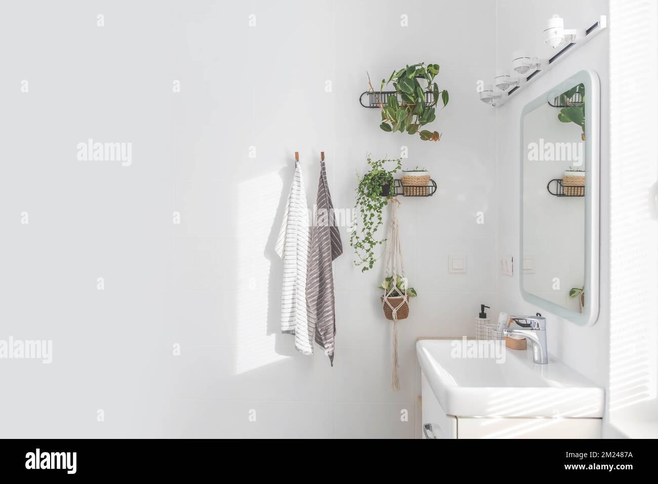 White bathroom minimalist Scandi interior sink mirror potted plant ...