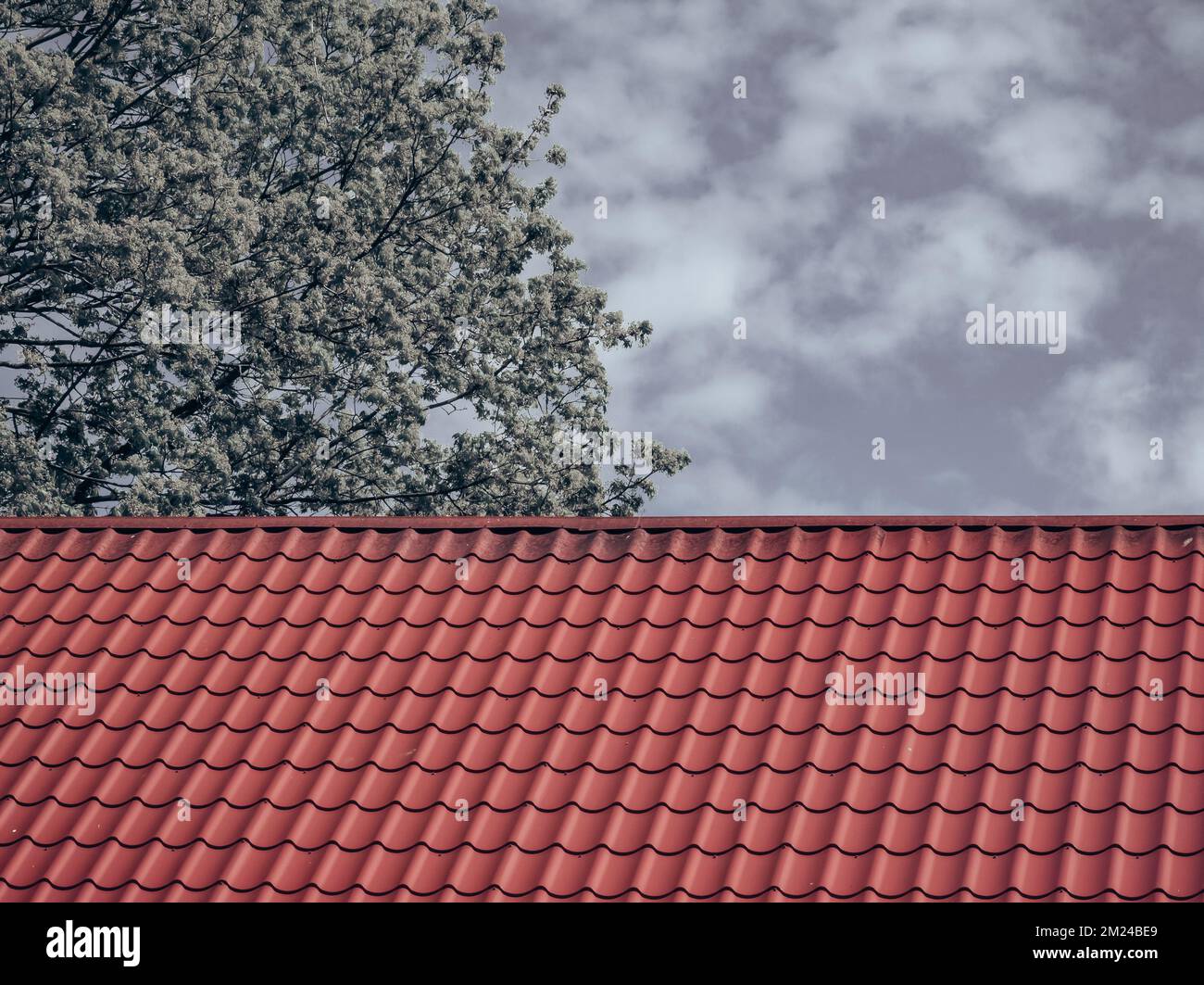 Red tiled roof. CLouds in blue sky. Green tree Stock Photo - Alamy