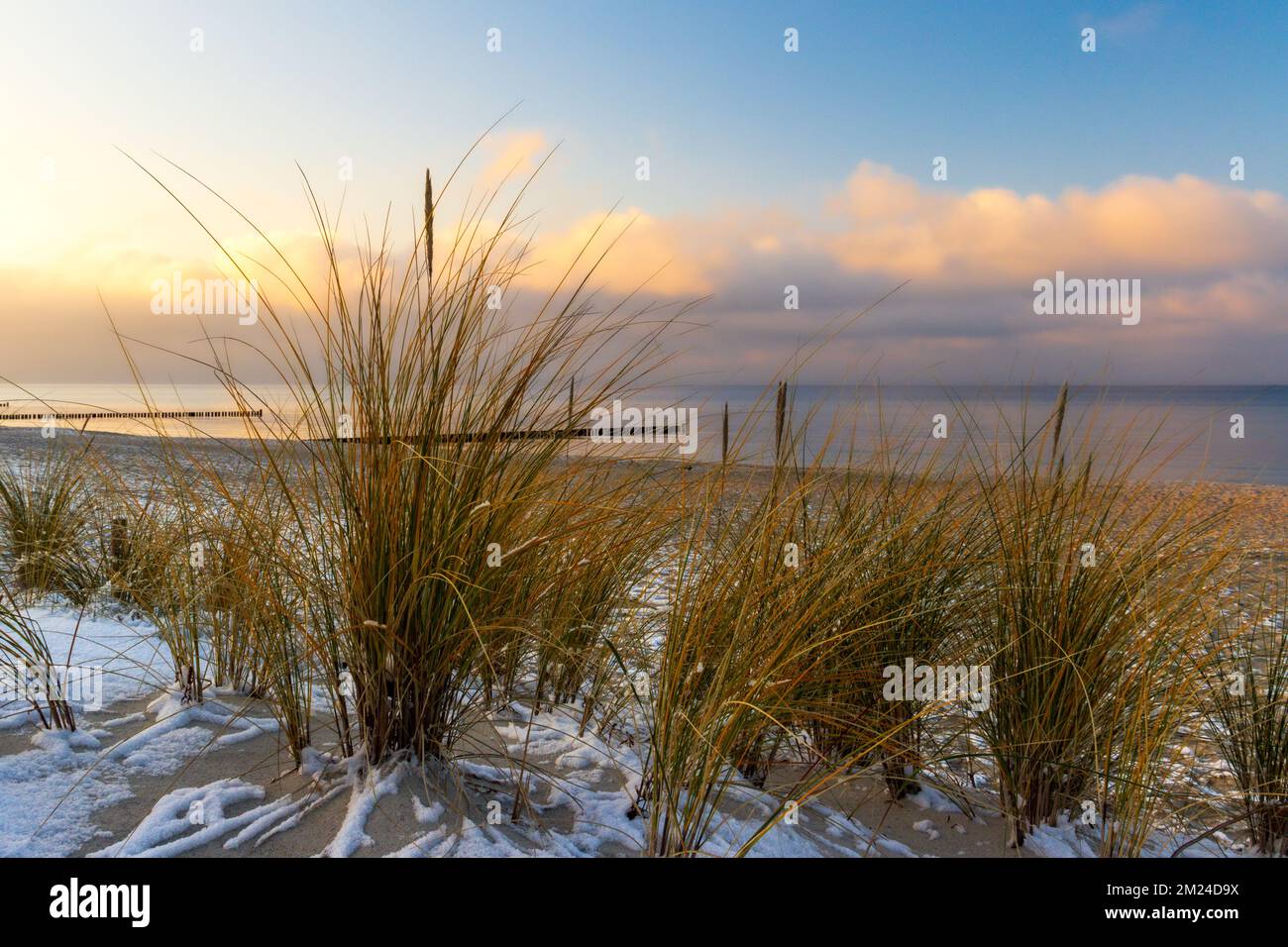 Beachview hi-res stock photography and images - Alamy