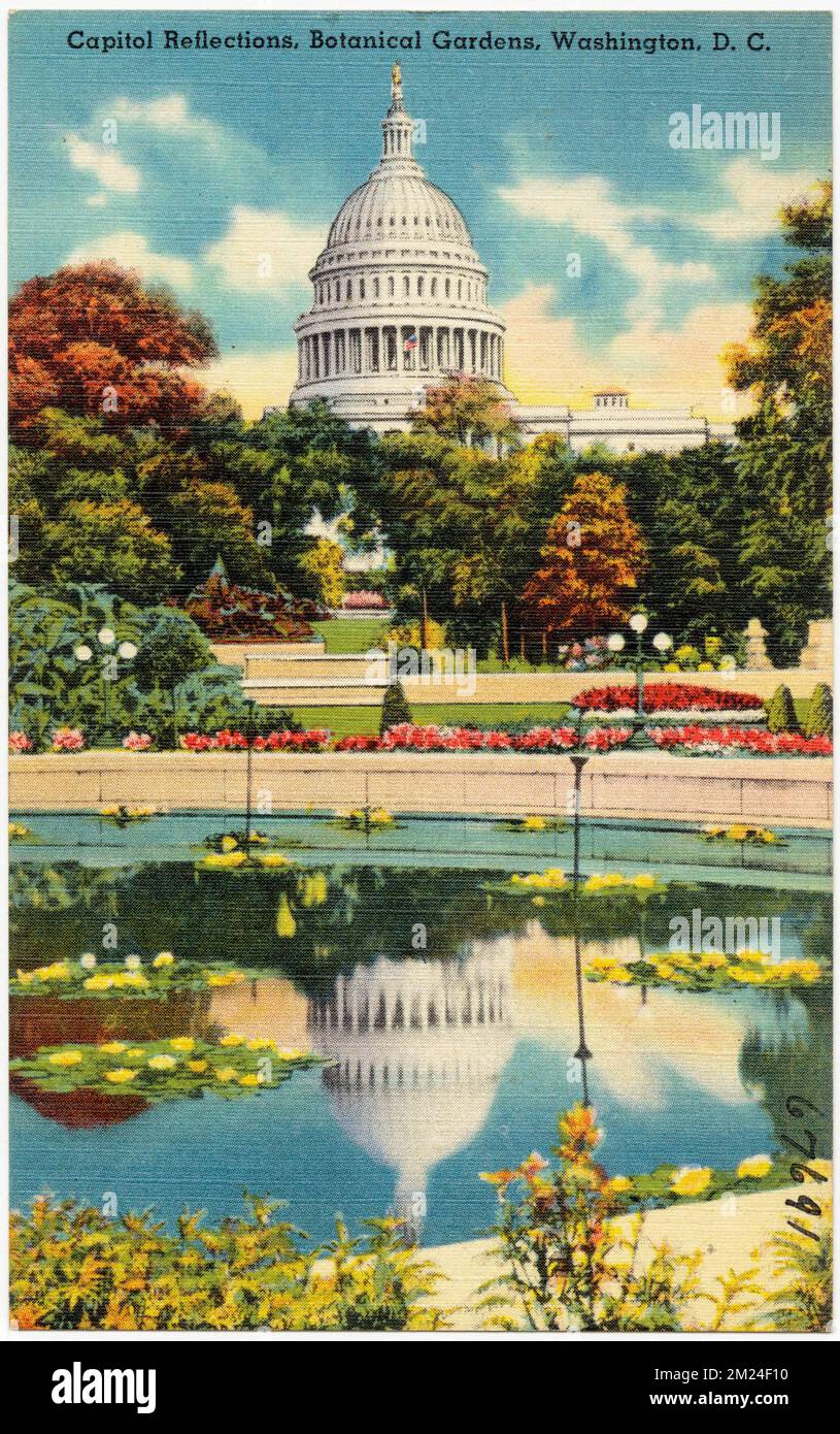 Capitol reflections, Botanical Gardens, Washington, D. C. , Capitols ...