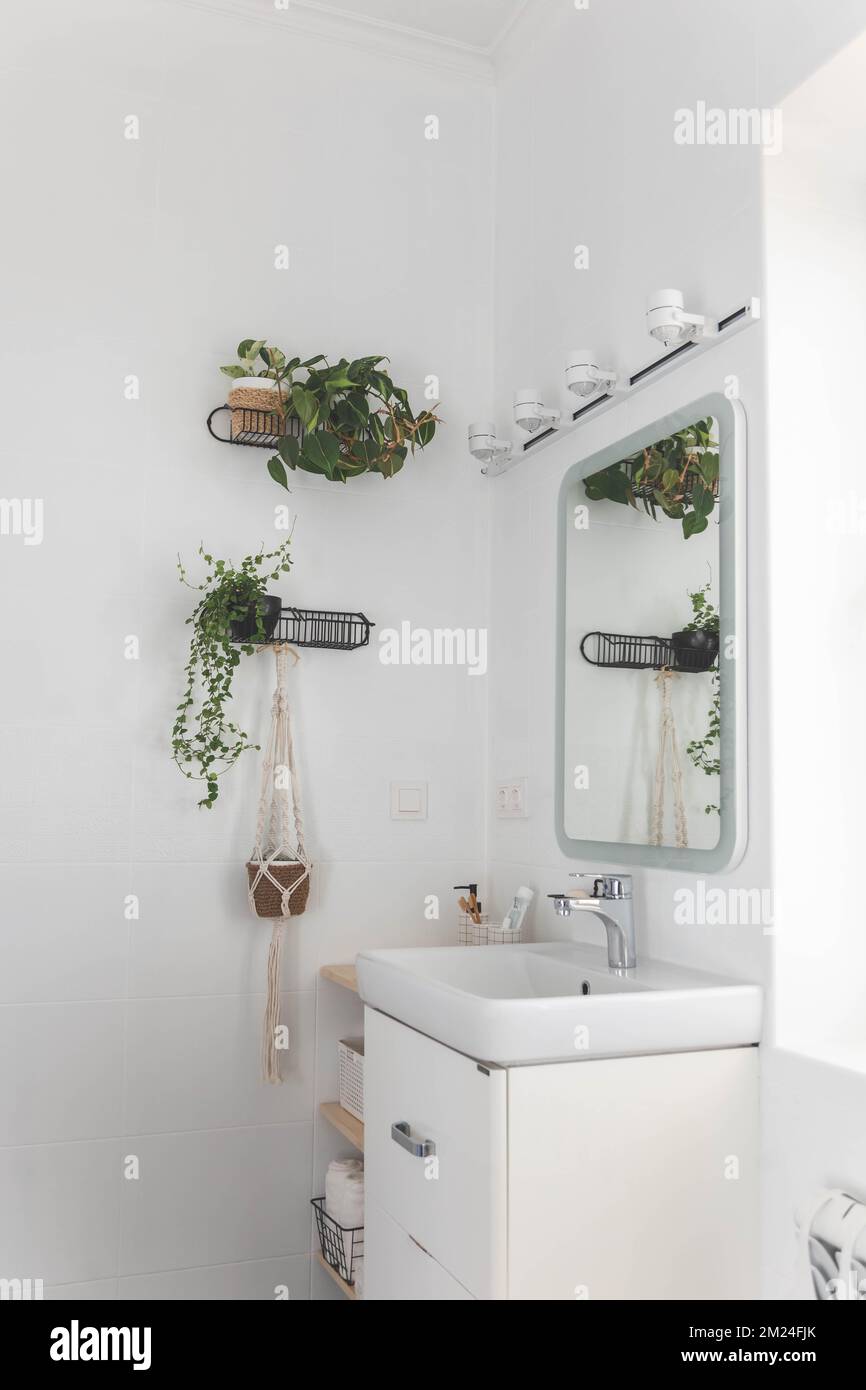 Bathroom white minimalist Nordic interior sink with mirror houseplant ...