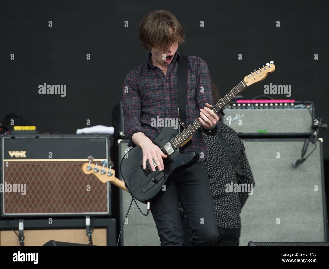 Ball of catfish hi-res stock photography and images - Alamy