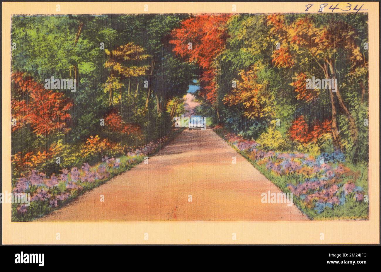 Car driving down a tree and flower-lined road , Roads, Trees, Flowers ...