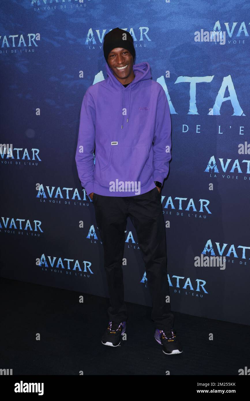 Paris, France on December 13, 2022. Terry Ltam attending the Avatar ...