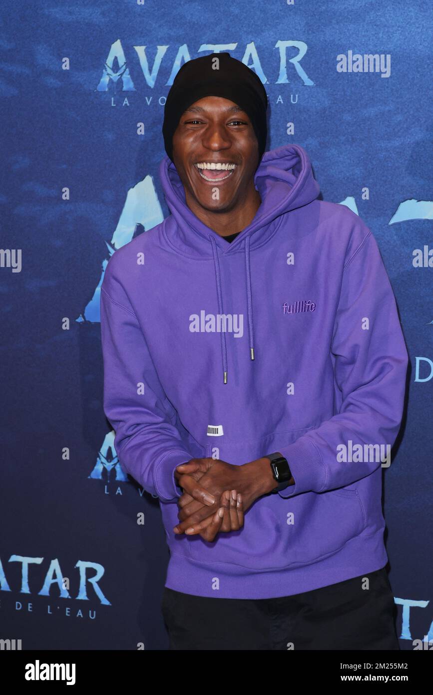 Paris, France on December 13, 2022. Terry Ltam attending the Avatar ...