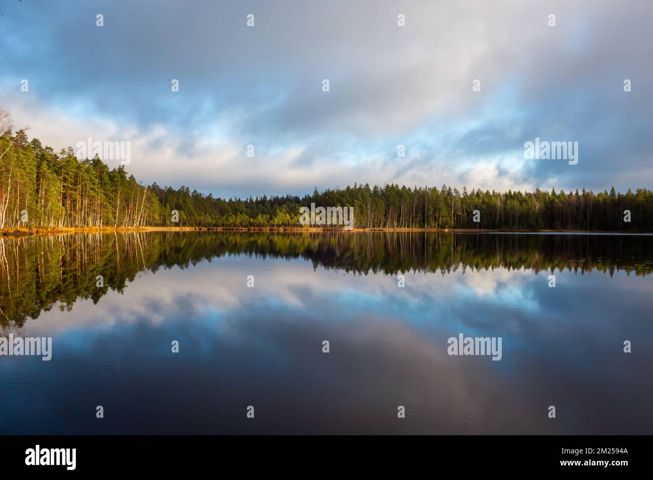 A scenic view of a tranquil lake surrounded by evergreen trees in Finland Stock Photo - Alamy
