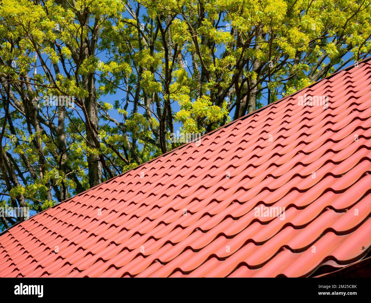 Red clay ceramic tiled roof. Blue sky. Green tree Stock Photo - Alamy