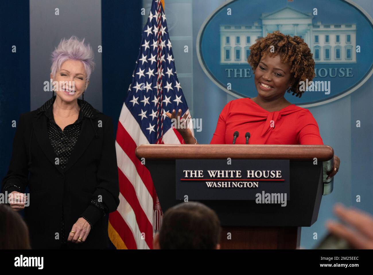 Musician Cyndi Lauper makes a statement in the briefing room at the ...