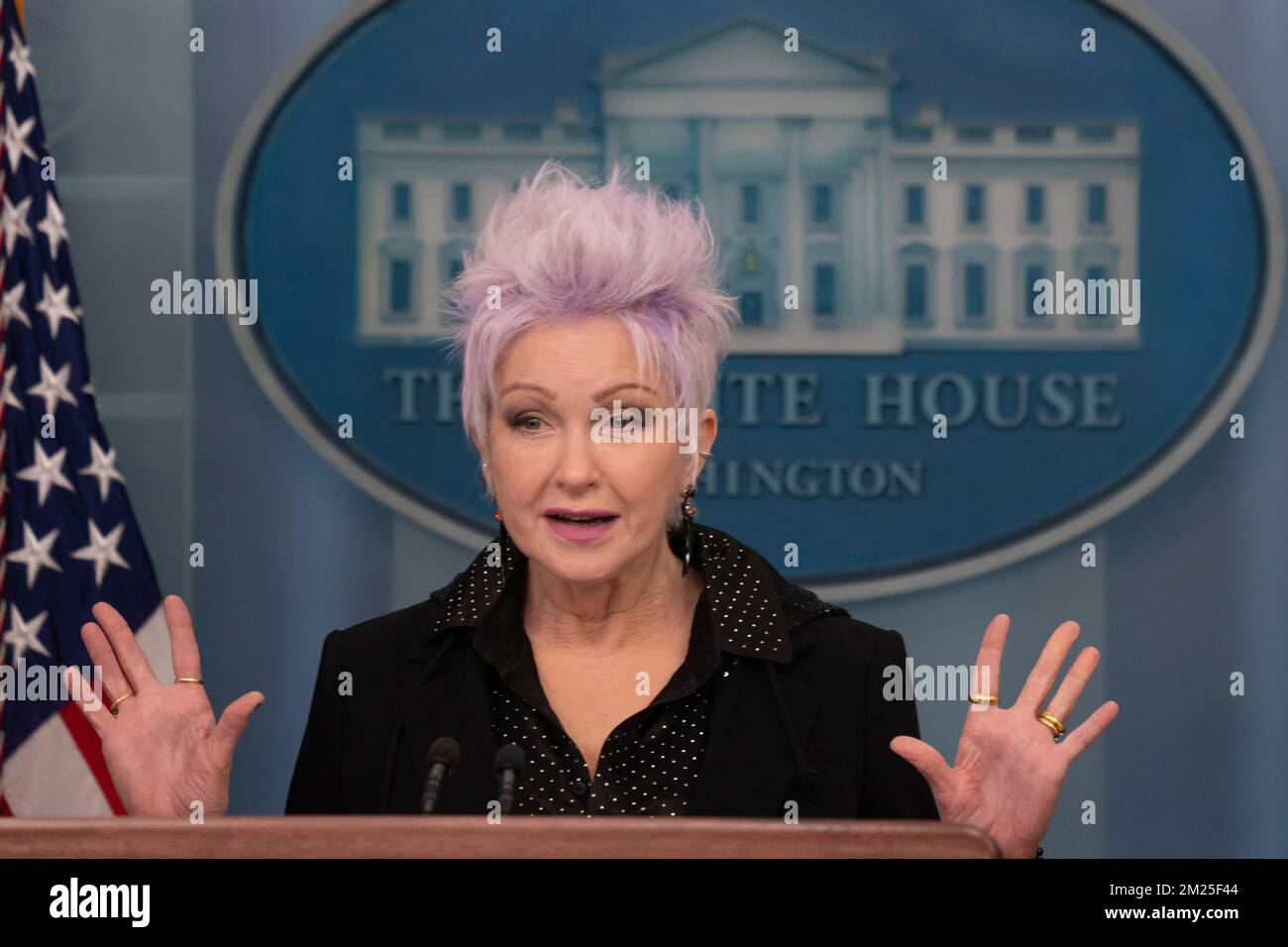 Musician Cyndi Lauper makes a statement in the briefing room at the ...
