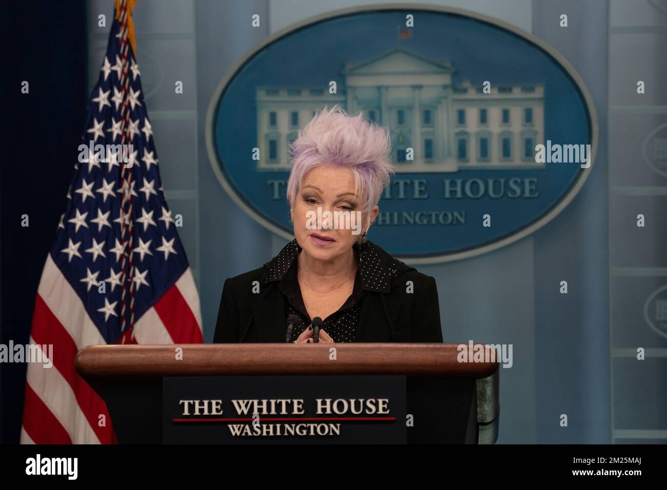Musician Cyndi Lauper makes a statement in the briefing room at the ...