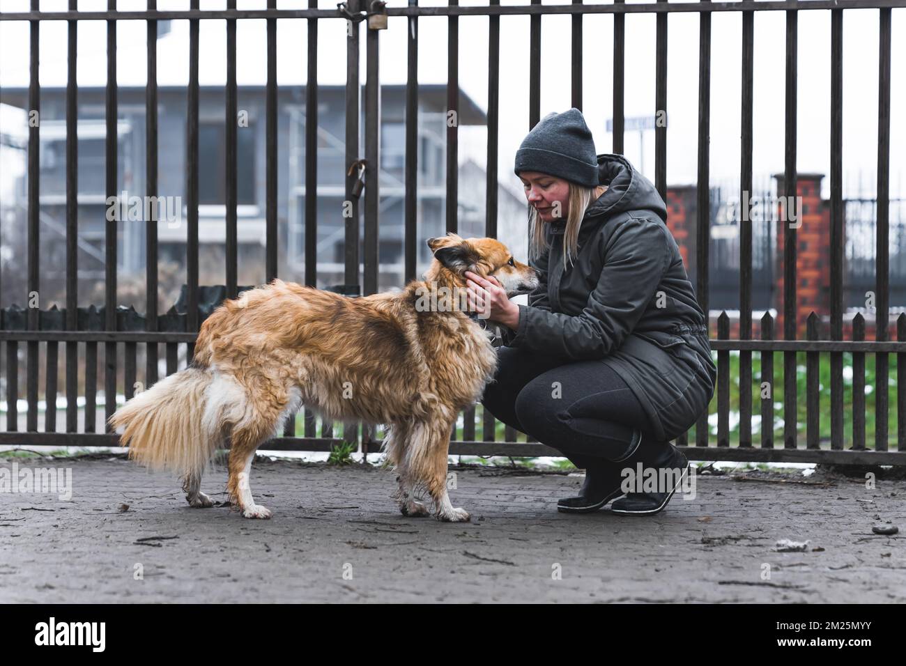 Homeless woman dog hi-res stock photography and images - Alamy