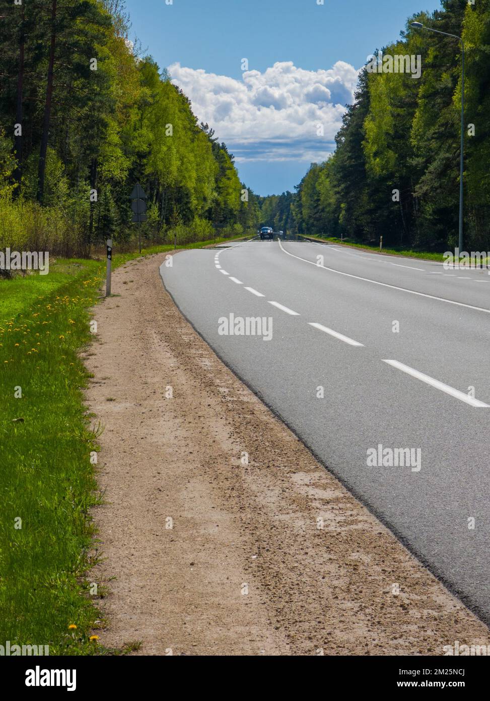 Tree trees horizon distance asphalt hi-res stock photography and images ...