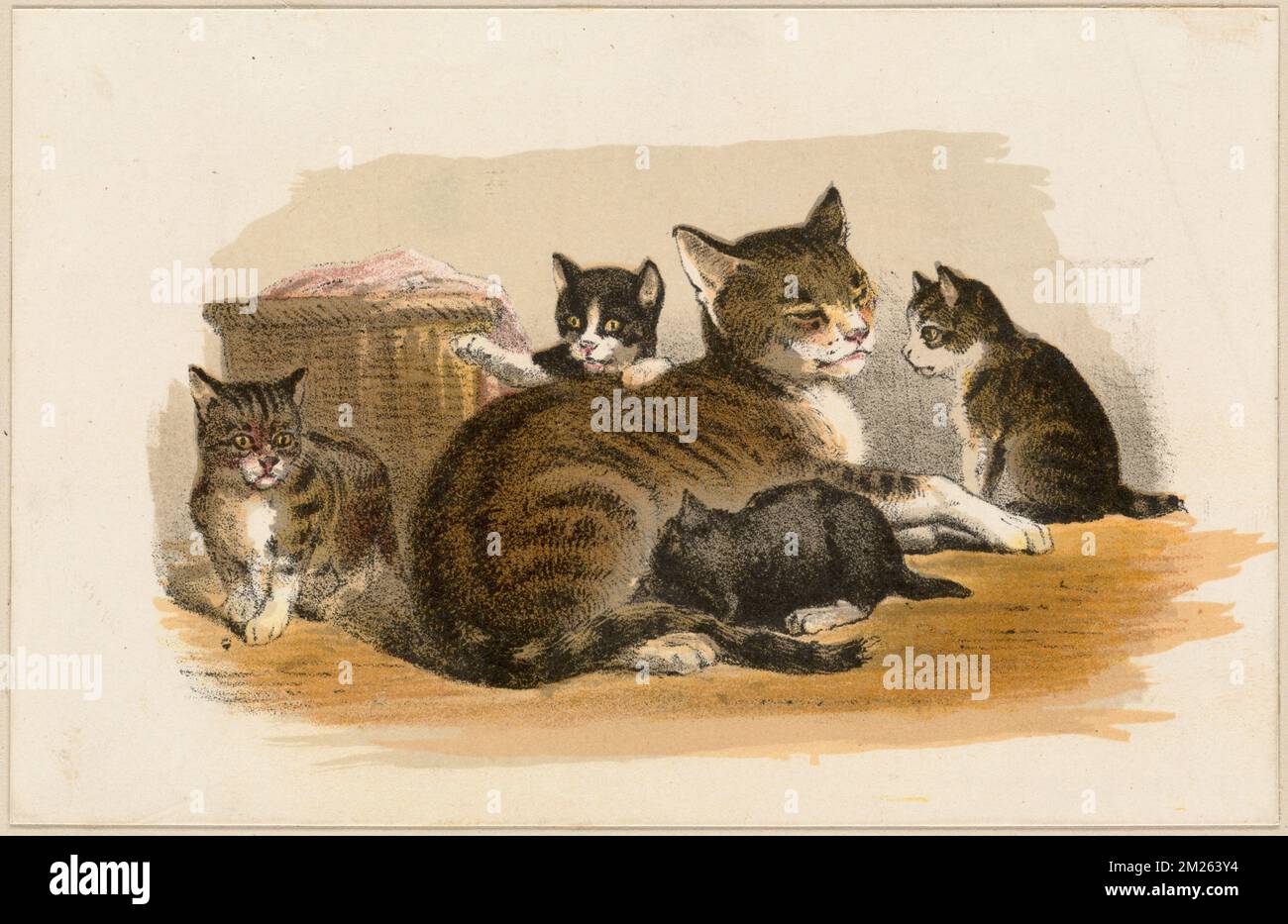 Early 1900s cats hi-res stock photography and images - Alamy