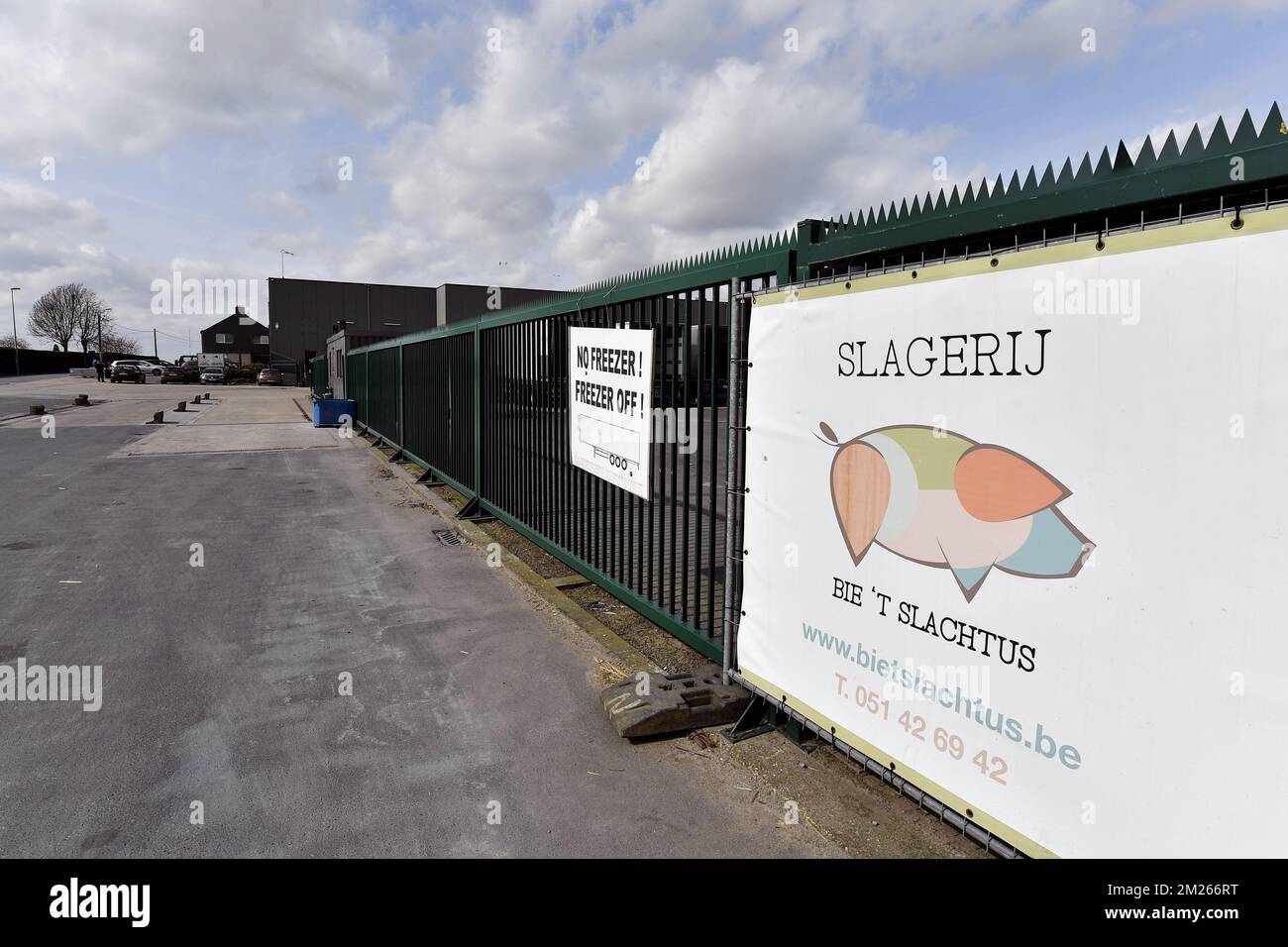 Illustration picture shows the slaughterhouse in Tielt, . Animal Rights ...