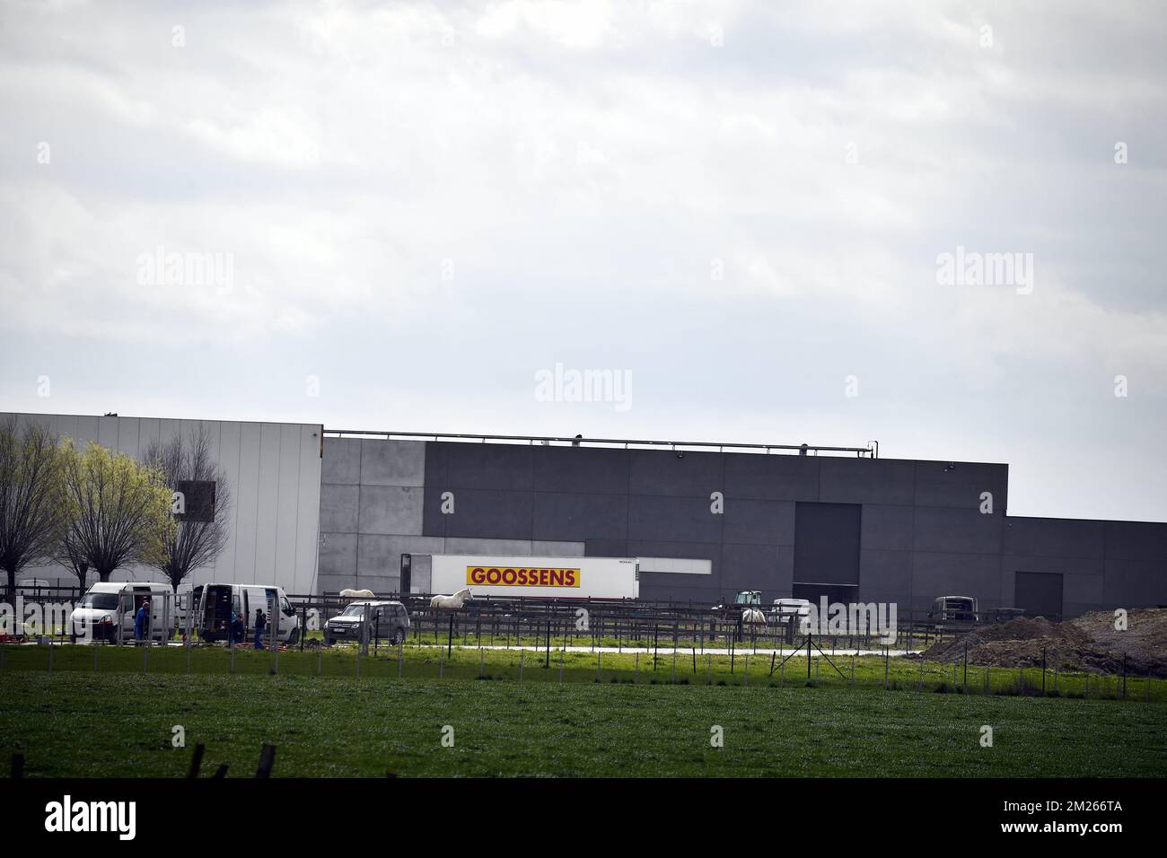 Illustration picture shows the slaughterhouse in Tielt, Wednesday 29 ...