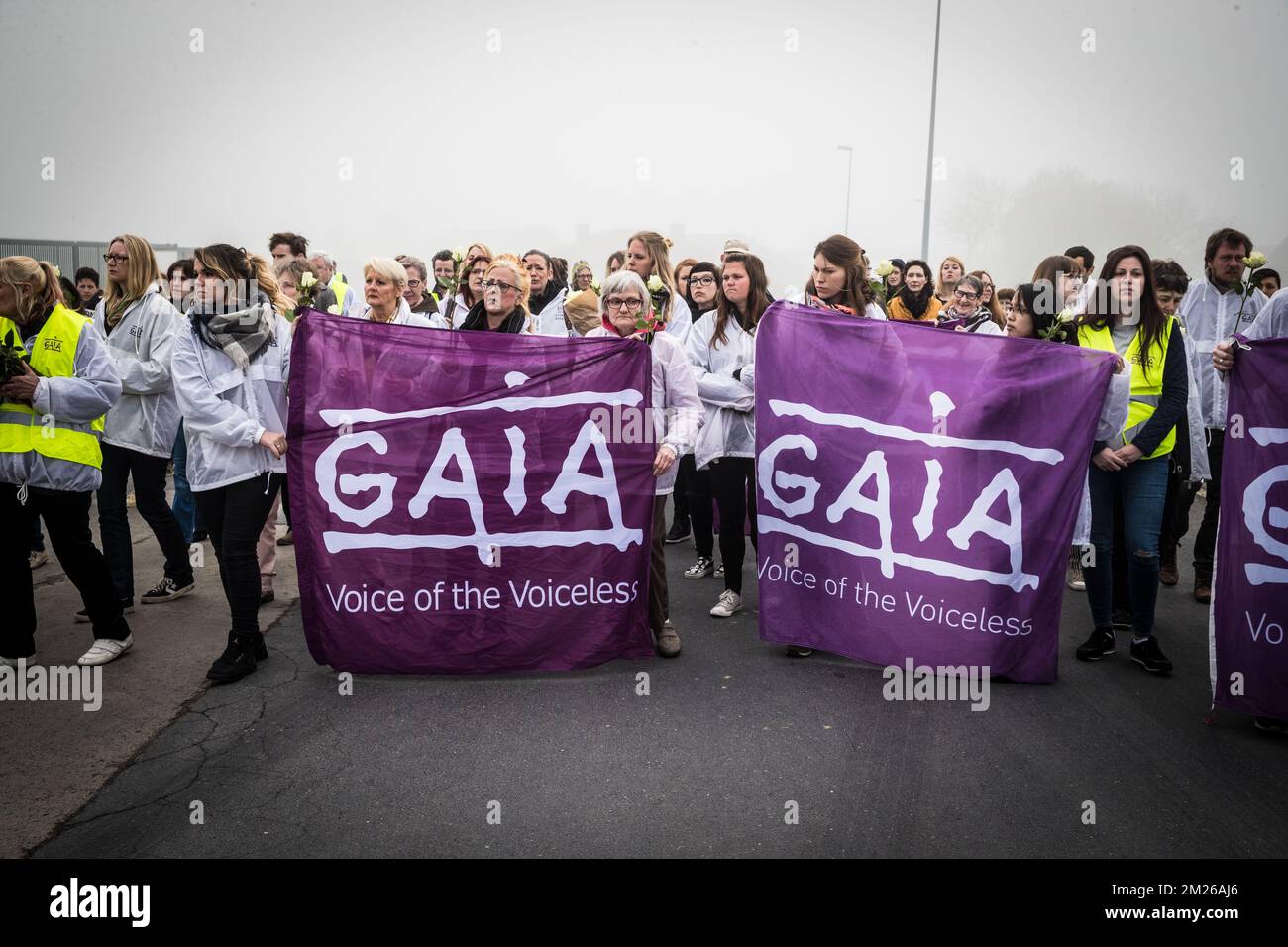 Illustration picture shows a protest of animal Rights organization ...