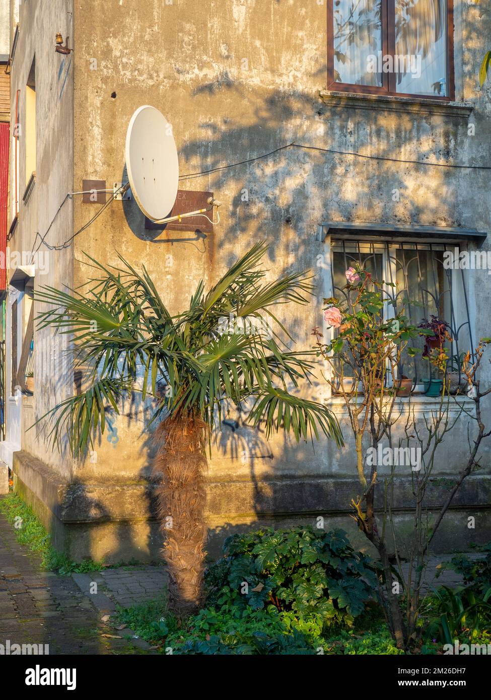 Satellite dish on an old house. antenna next to a palm tree. Old and ...
