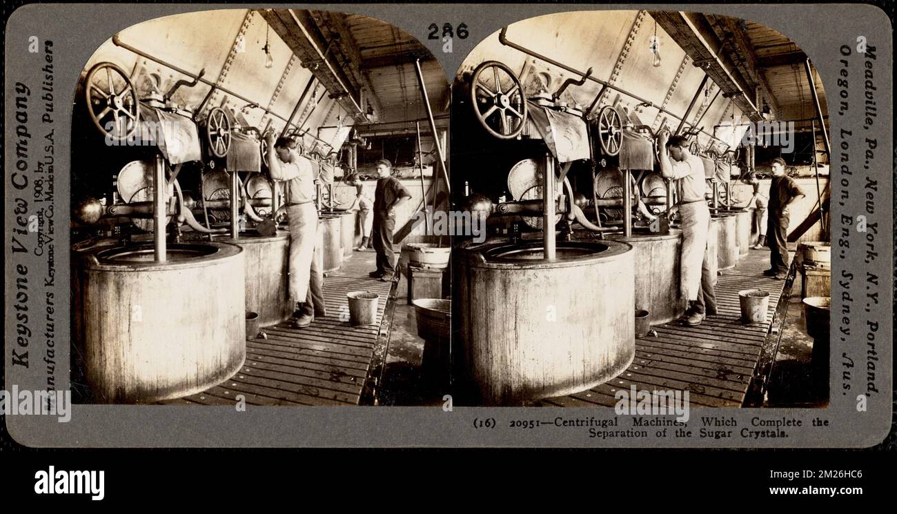 Centrifugal machines, which complete the separation of the sugar ...