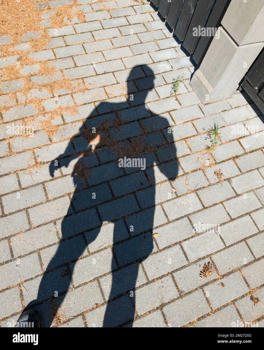 Shadow of man on pavement. Sunny day Stock Photo - Alamy