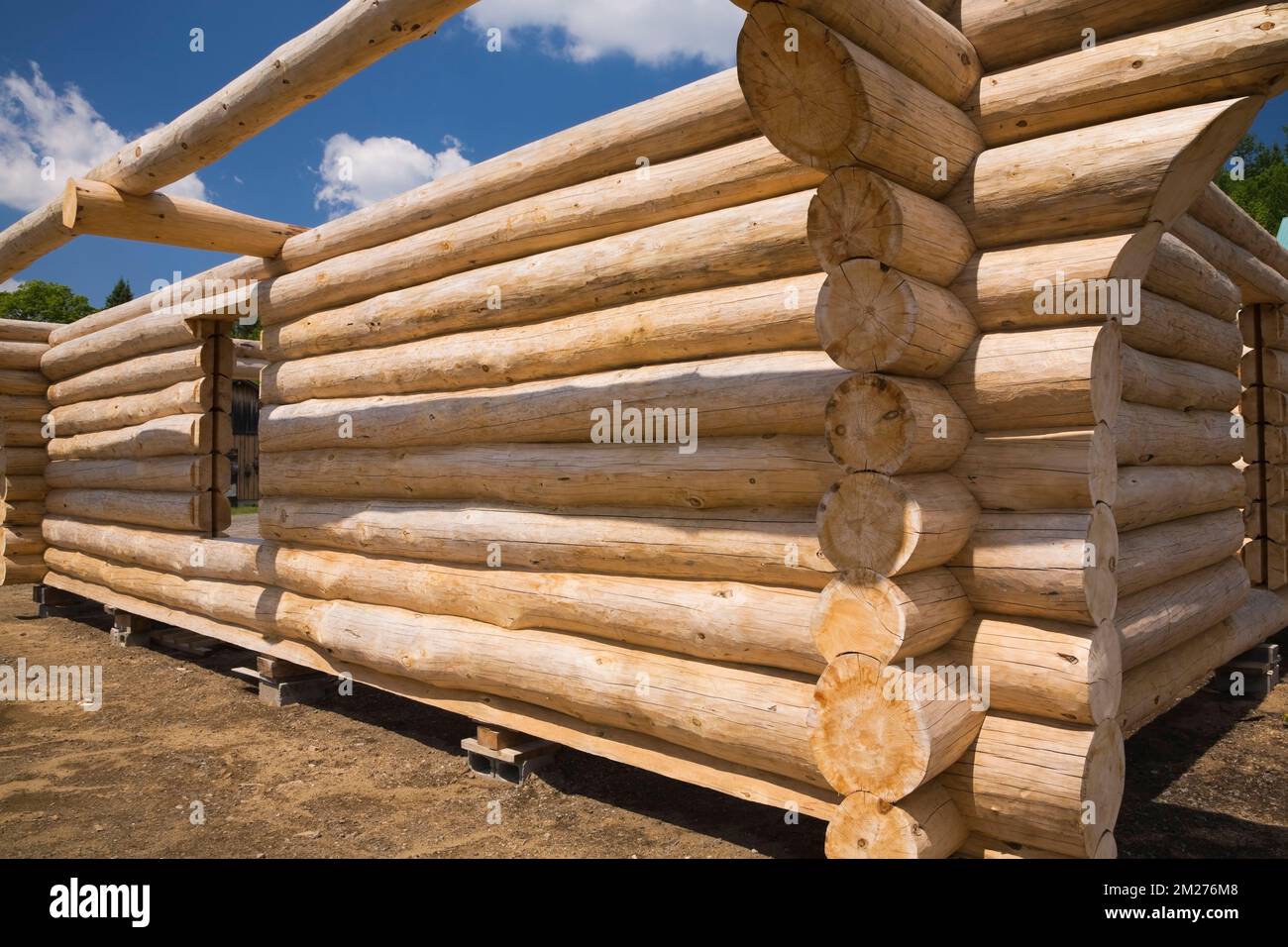 Unfinished Scandinavian log cabin being built with Eastern white pine ...