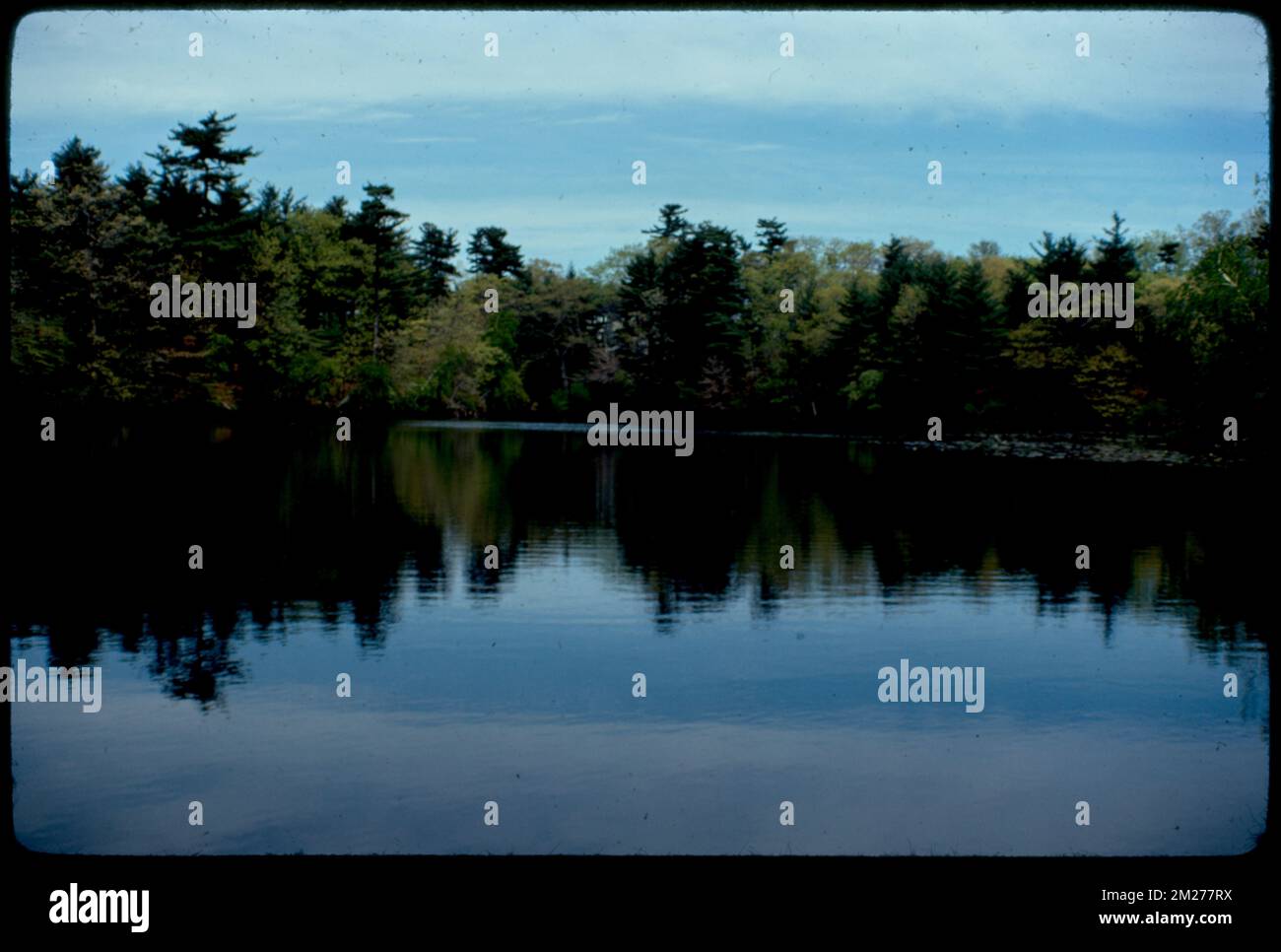 Charles River - Norumbega area , Rivers, Waterfronts, Trees ...