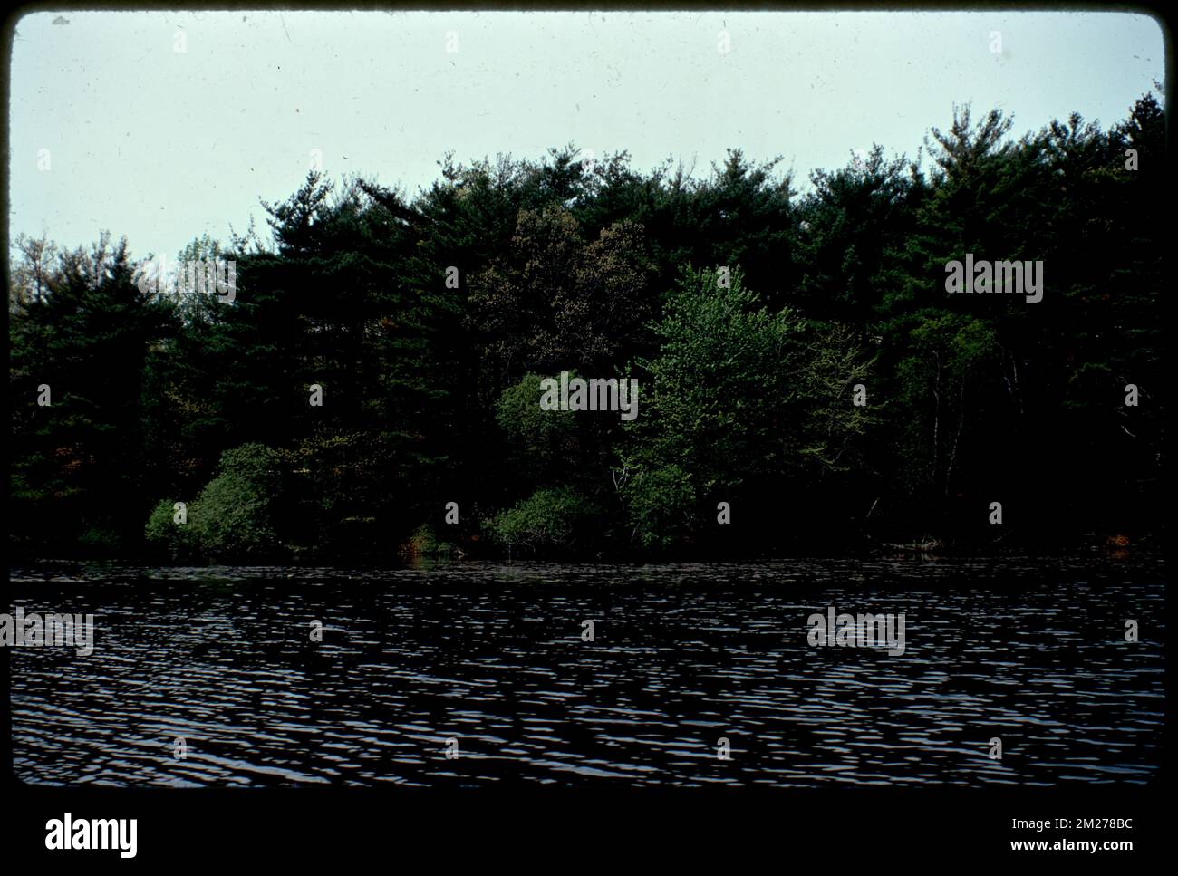 Charles River - Norumbega area , Rivers, Waterfronts, Trees ...
