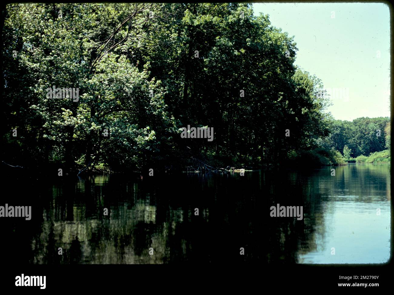 Charles River Audubon Society Reservation at Natick off Rt. 16 , Rivers ...