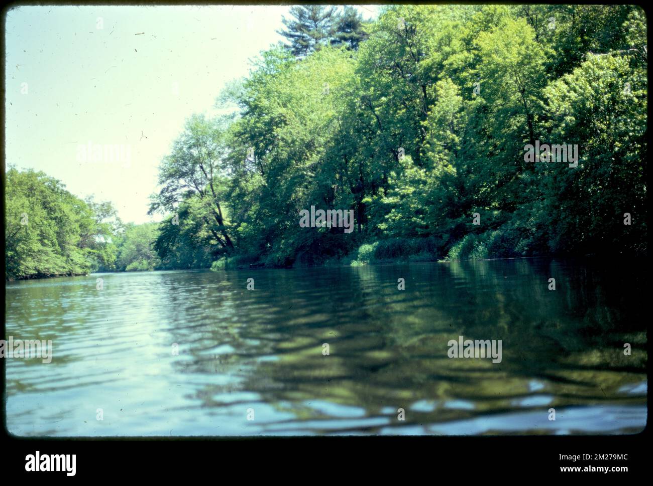 Charles River Audubon Society Reservation at Natick off Rt. 16 , Rivers ...