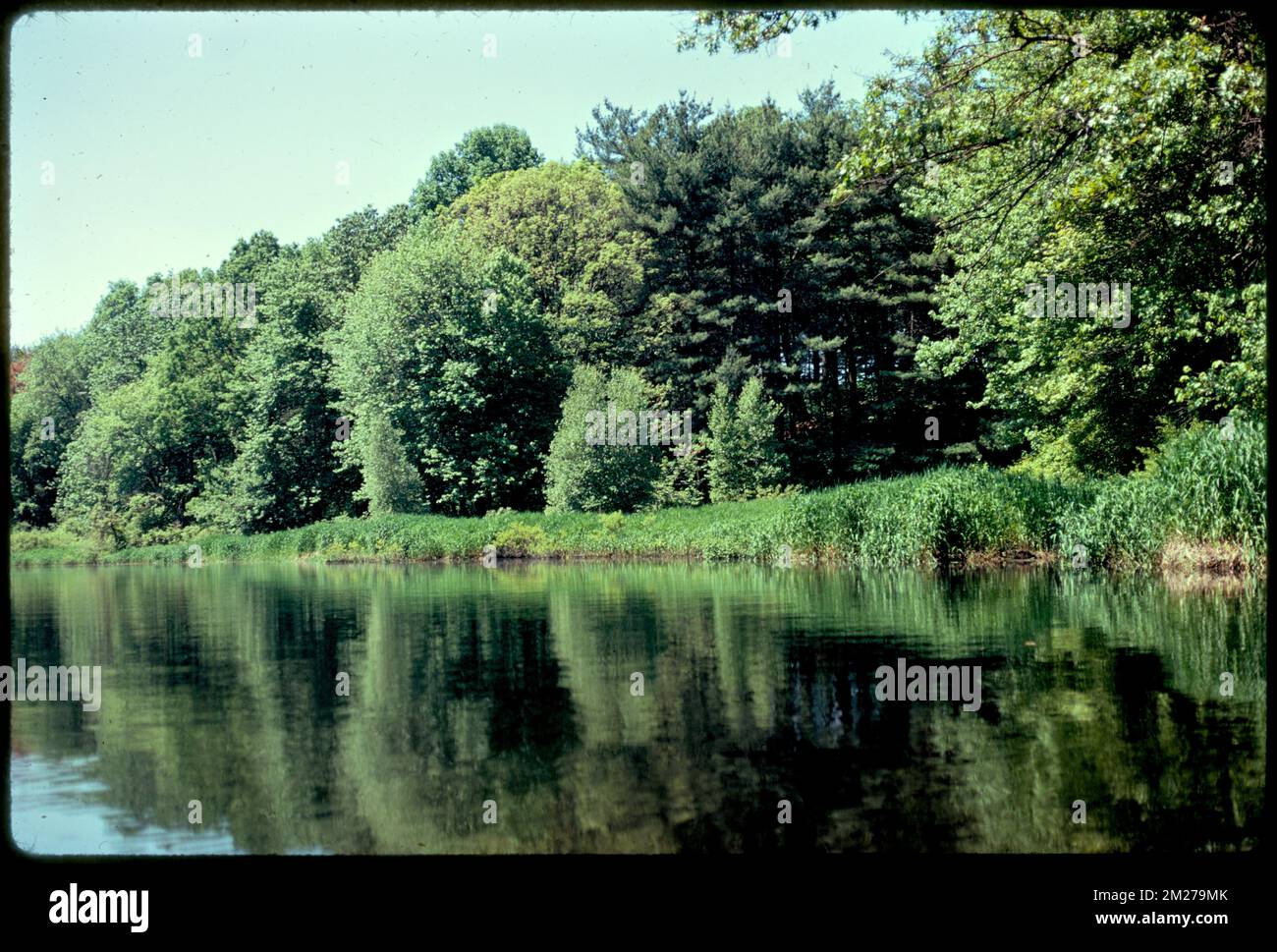 Charles River Audubon Society Reservation at Natick off Rt. 16 , Rivers ...