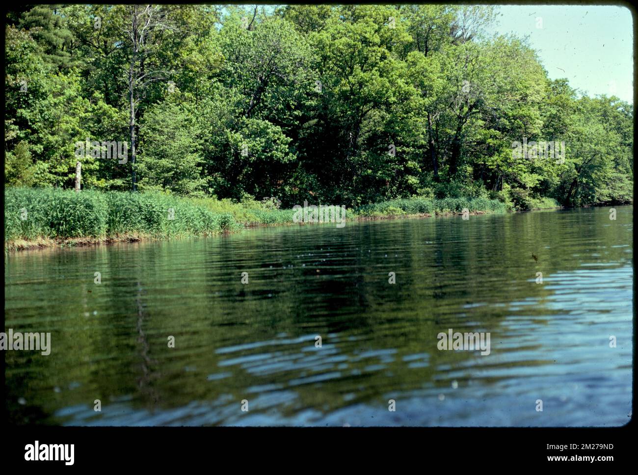 Charles River Audubon Society Reservation at Natick off Rt. 16 , Rivers ...