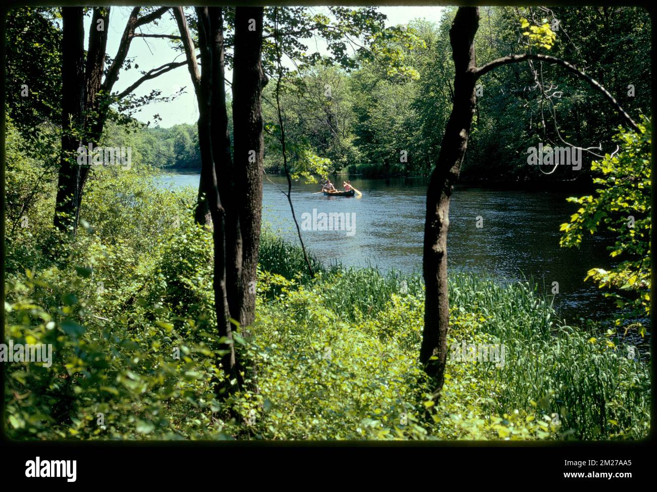 Charles River Audubon Society Reservation at Natick off Rt. 16 , Rivers ...