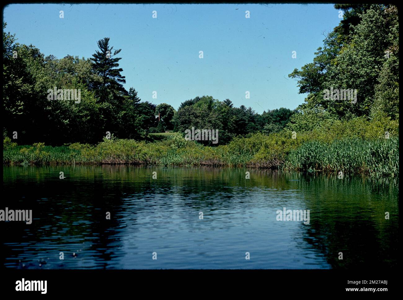 Charles River Audubon Society Reservation at Natick off Rt. 16 , Rivers ...