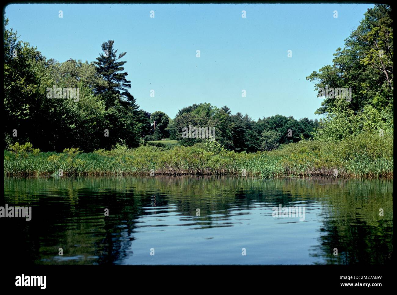 Charles River Audubon Society Reservation at Natick off Rt. 16 , Rivers ...