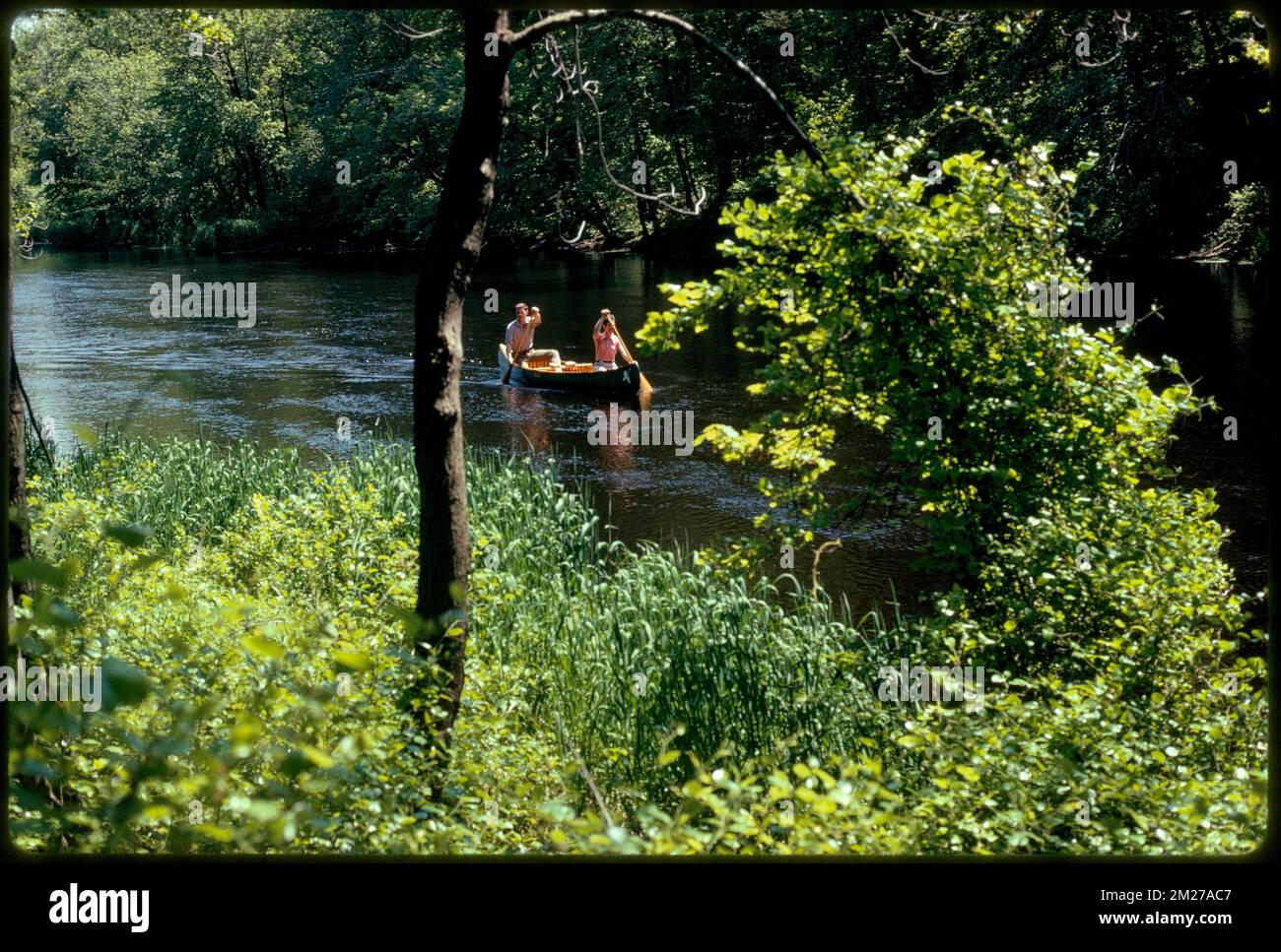 Charles River Audubon Society Reservation at Natick off Rt. 16 , Rivers ...