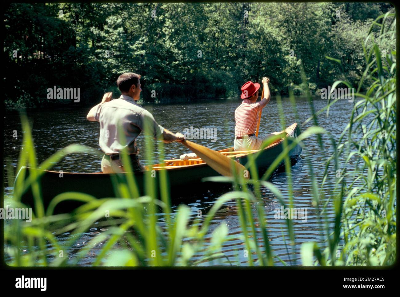 Charles River Audubon Society Reservation at Natick off Rt. 16 , Rivers ...