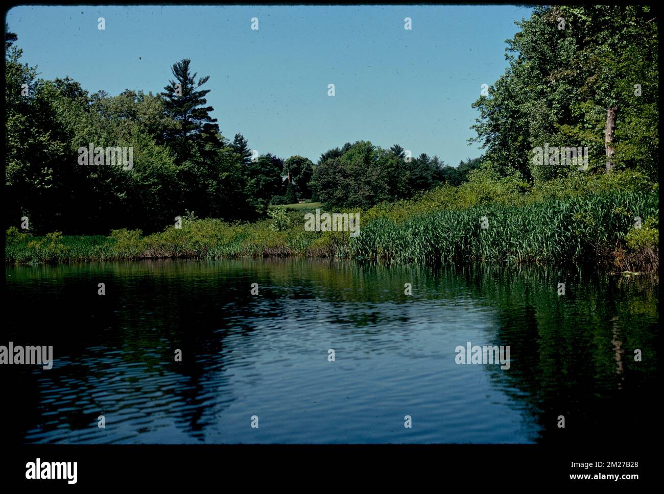 Charles River Audubon Society Reservation at Natick off Rt. 16 , Rivers ...