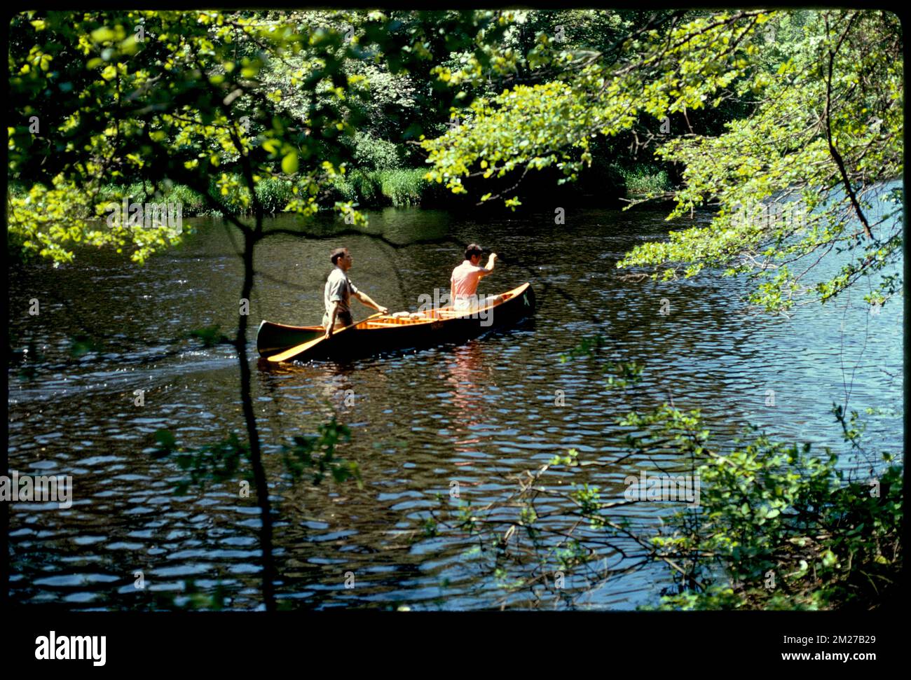 Charles River Audubon Society Reservation at Natick off Rt. 16 , Rivers ...